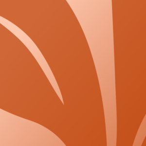 About - Caritas School of Life